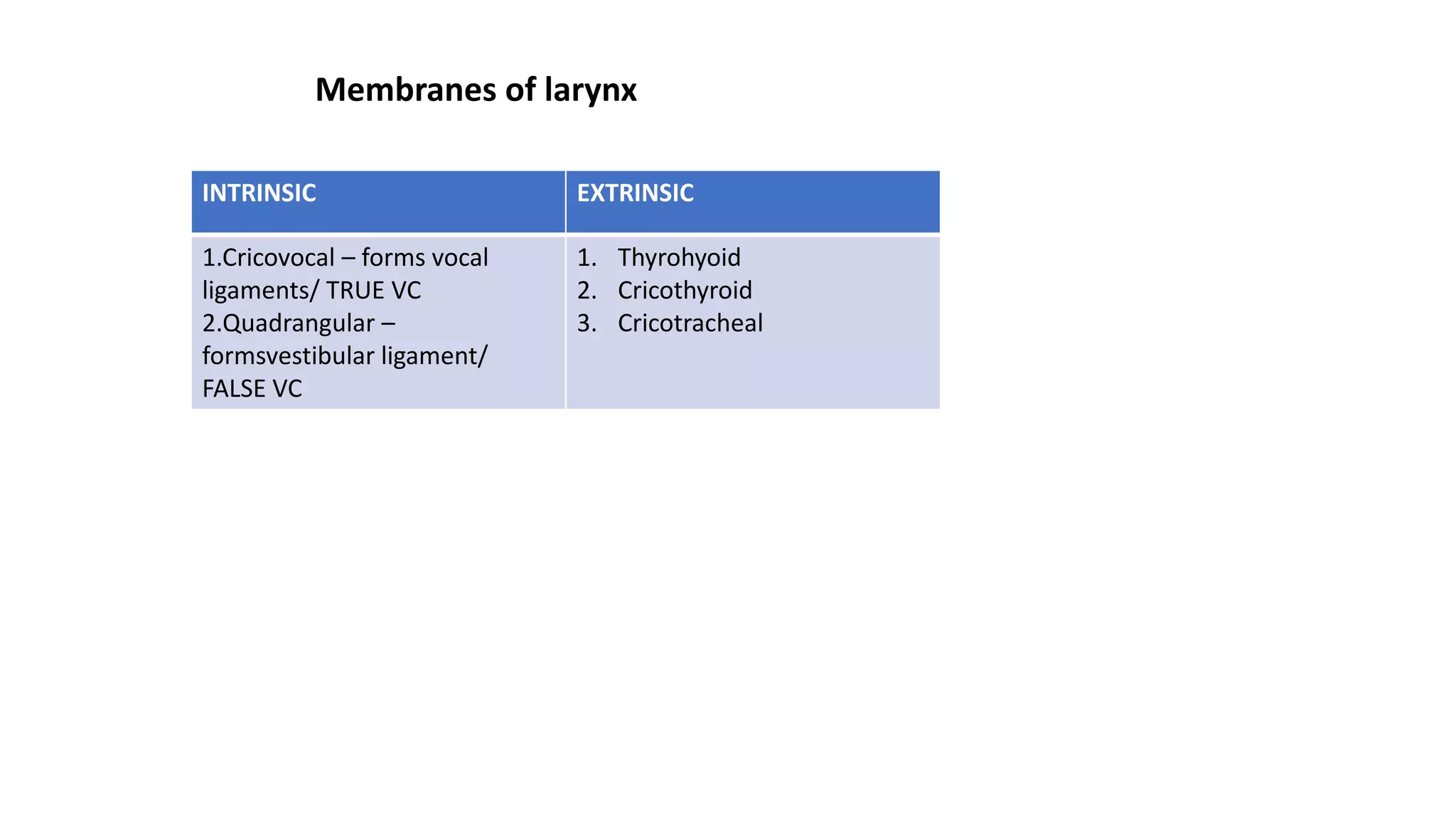 larynx anatomy, radiology and diagnostic work up.pptx