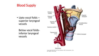 larynx anatomy, radiology and diagnostic work up.pptx