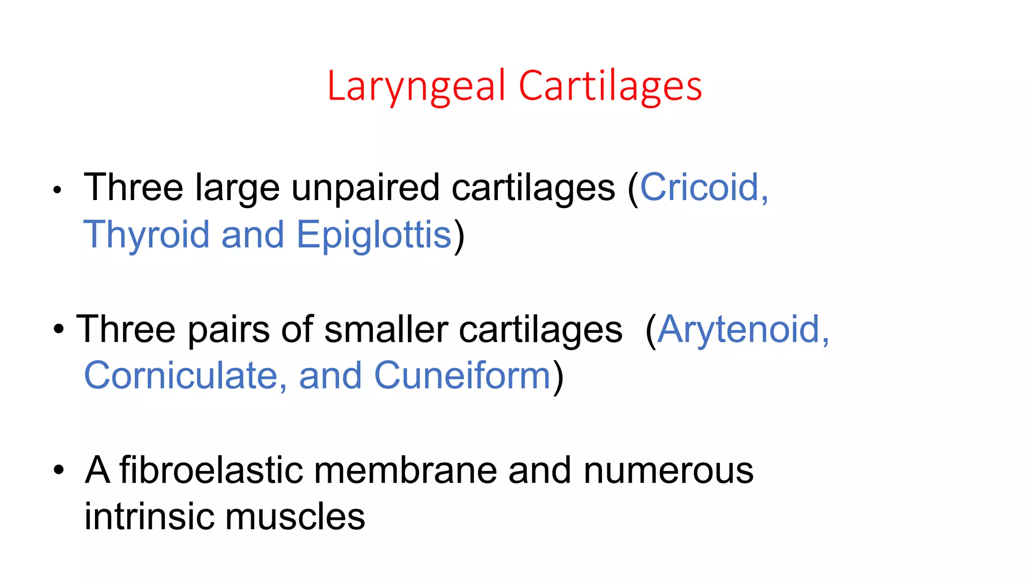 Anatomy of Larynx.pptx
