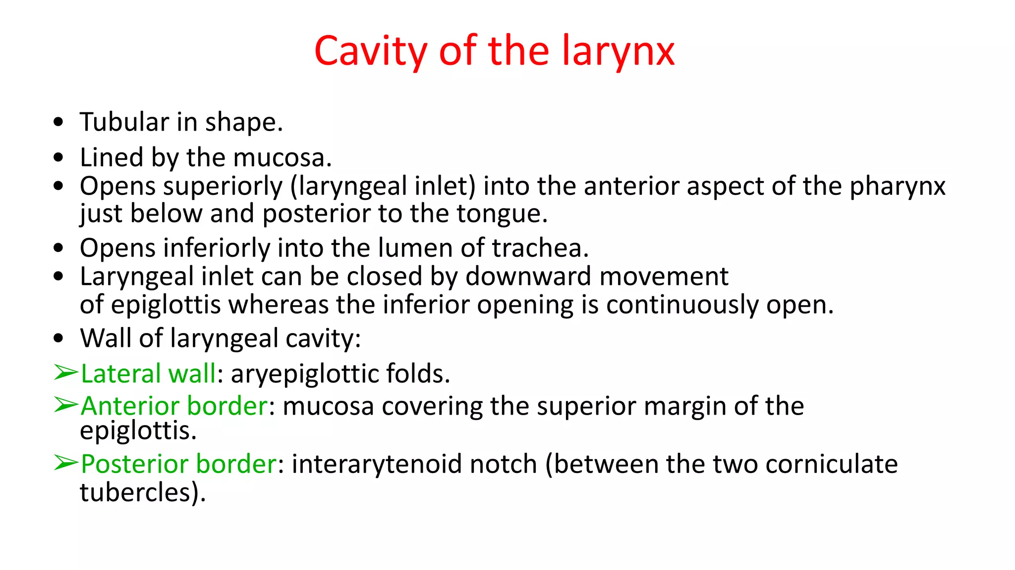 Anatomy of Larynx.pptx