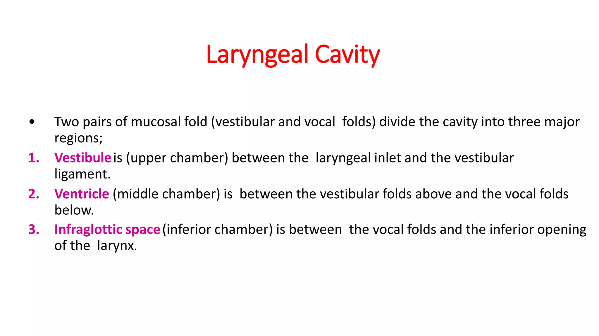 Anatomy of Larynx.pptx