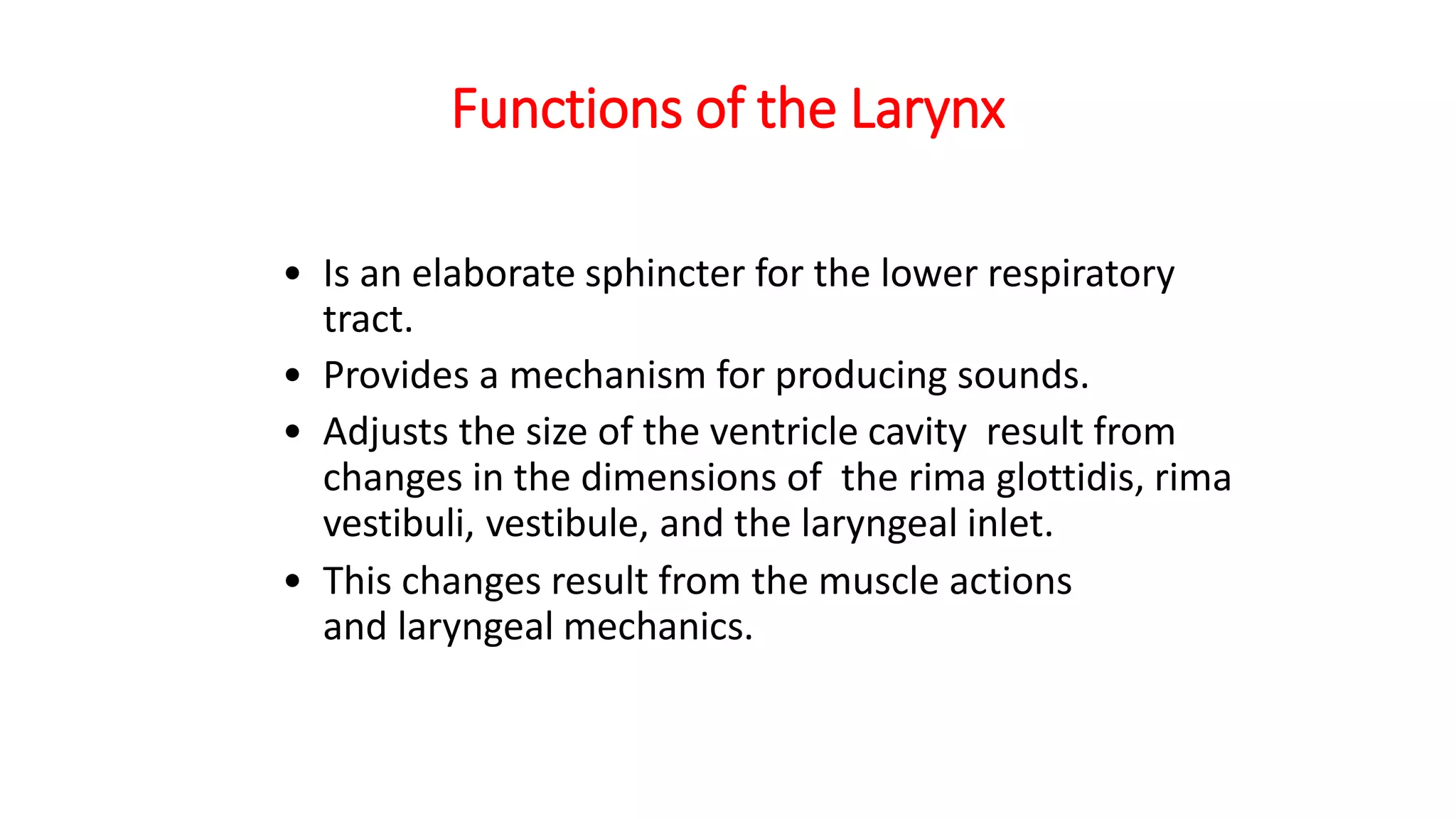 Anatomy of Larynx.pptx