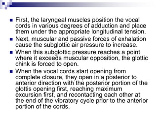 Larynx_Physiology of larynx ent presentat | PPT