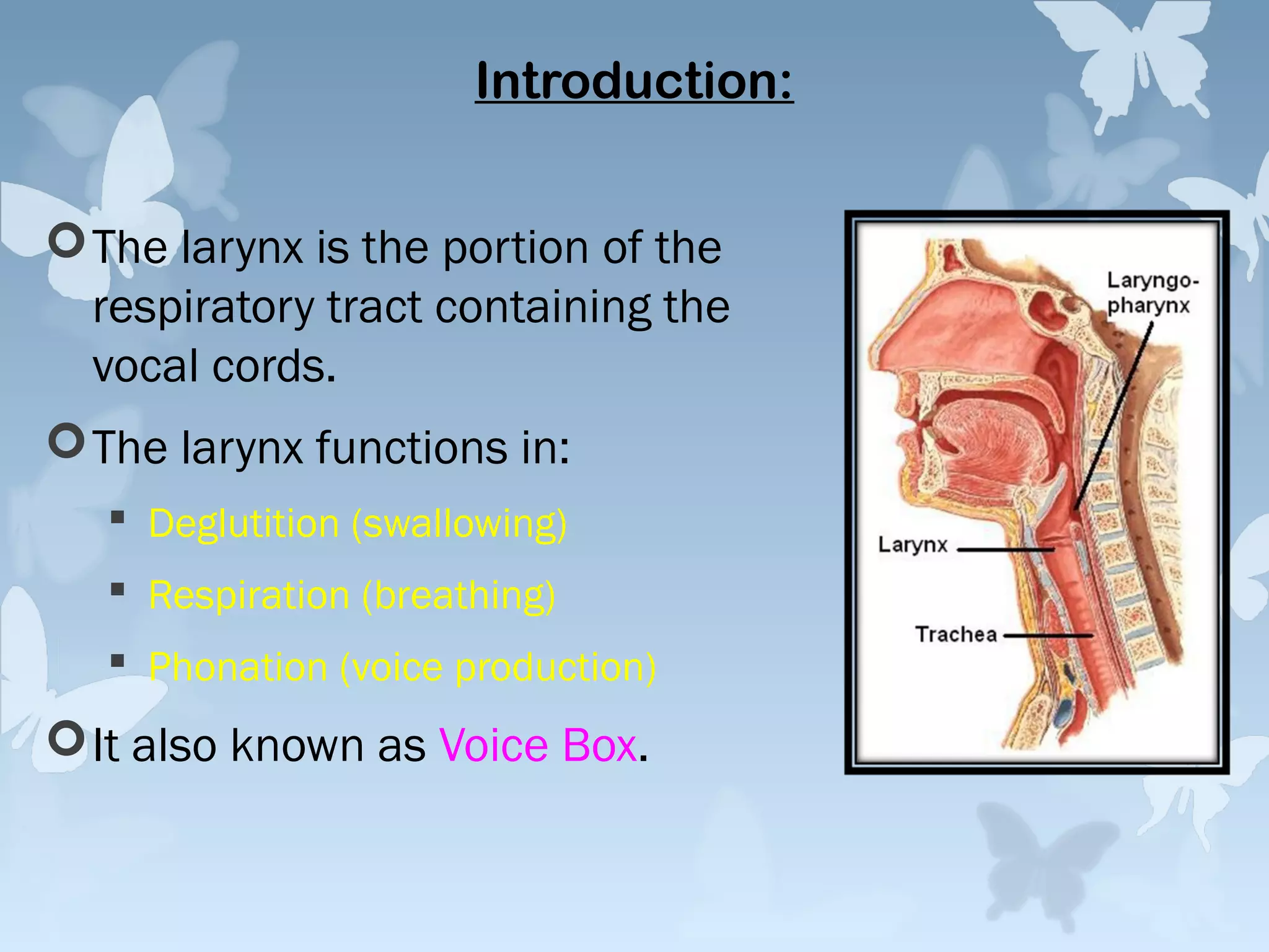 Larynx (Human Anatomy) Medical Presentation | PPT