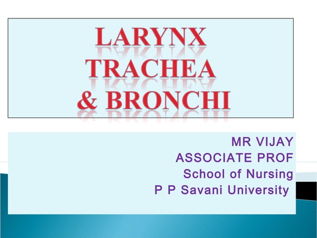 Larynx, trachea & bronchi | PPT