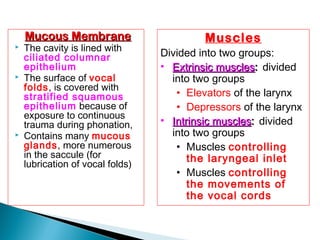 Larynx, trachea & bronchi | PPT