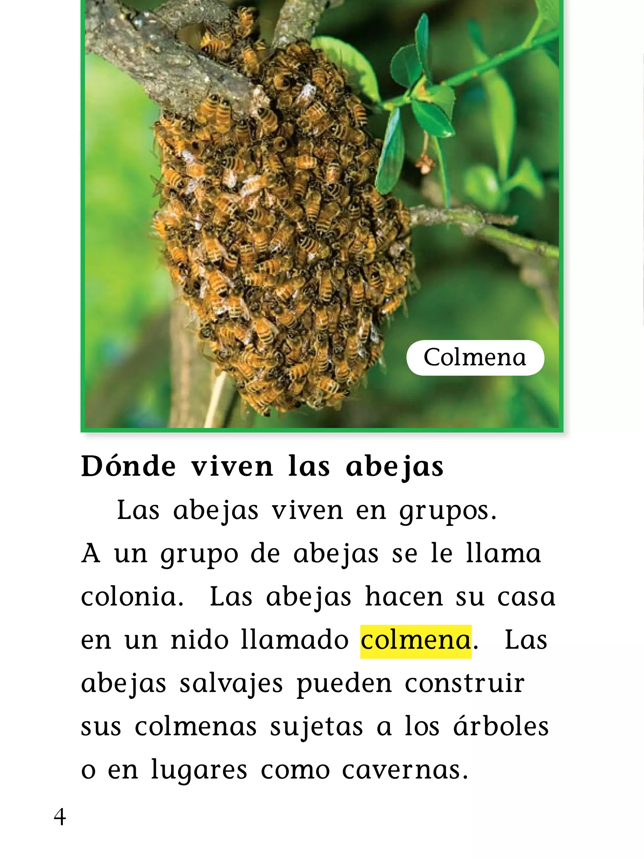 Las abejas-hacen-miel | PDF