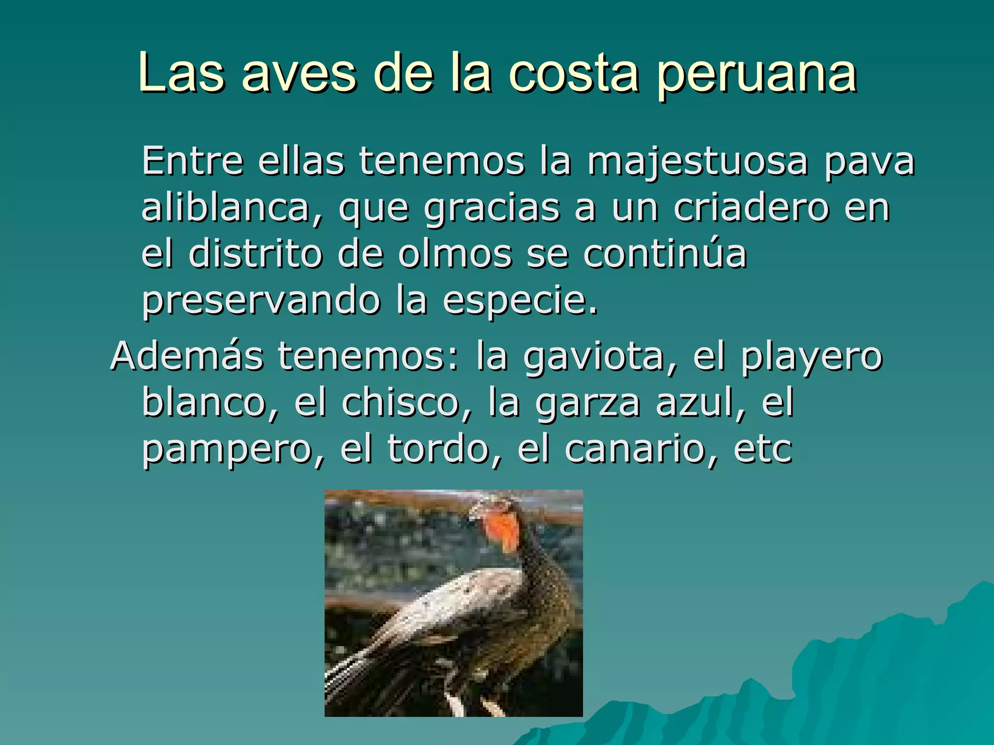 Las Aves | PPT