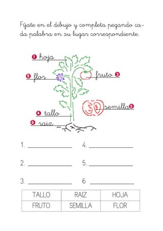 Las plantas | PDF