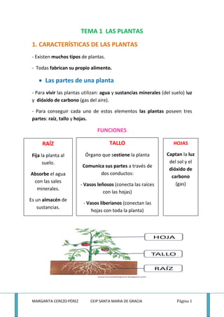 Las plantas seres vivos esenciales para la vida | PDF