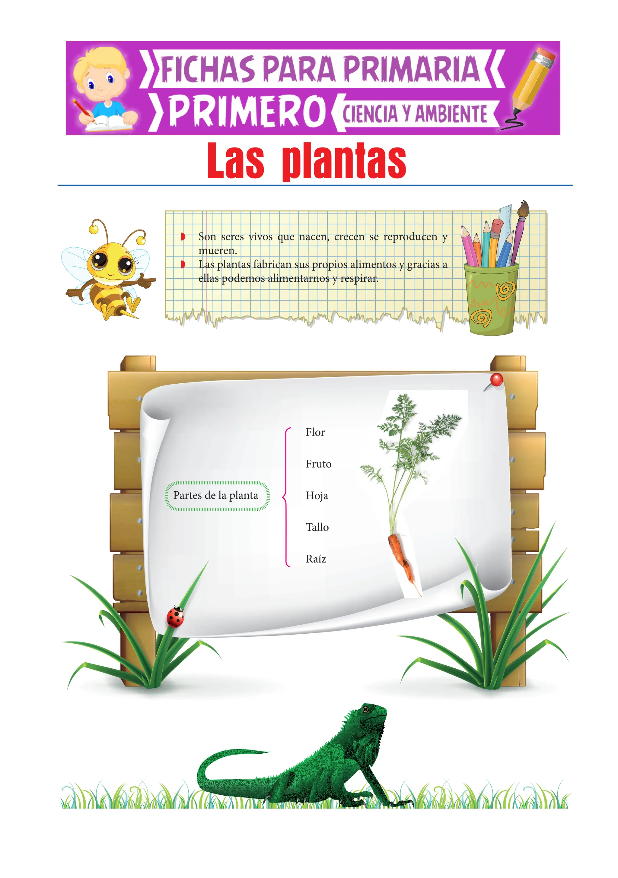 Las-Plantas-para-Primero-de-Primaria.pdf