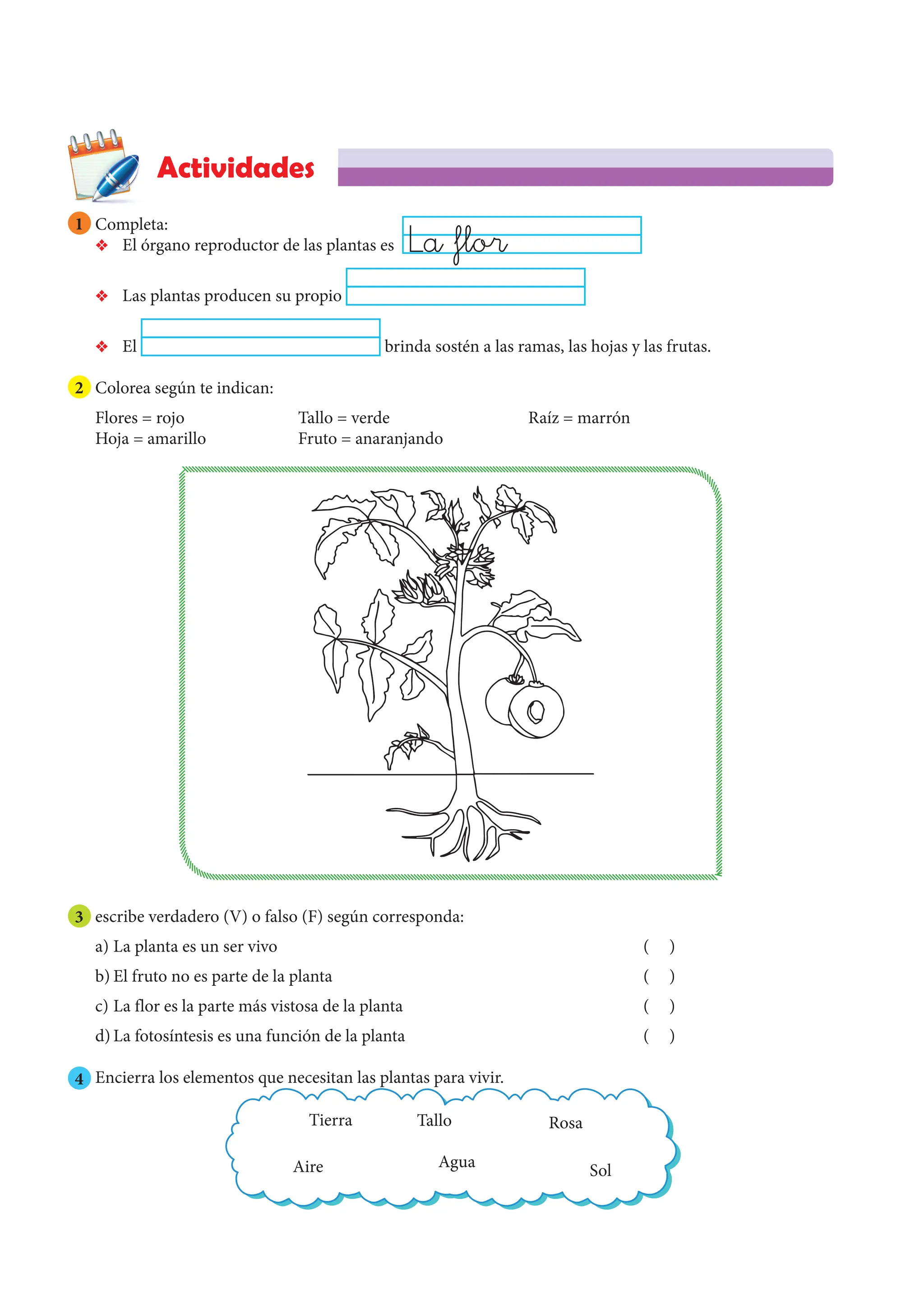 Las-Plantas-para-Primero-de-Primaria.pdf
