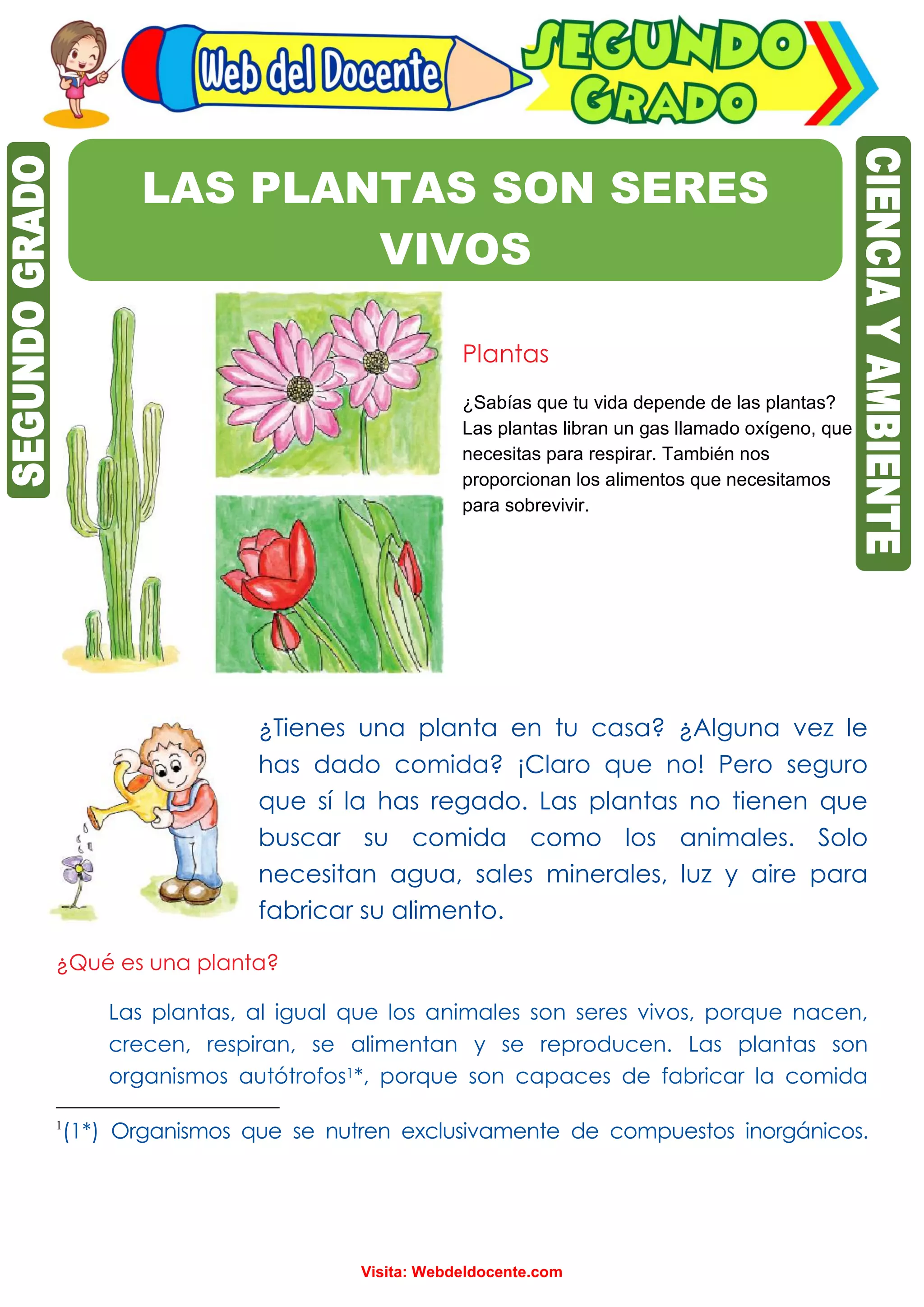 Las-Plantas-son-Seres-Vivos-para-Segundo-Grado-de-Primaria.pdf
