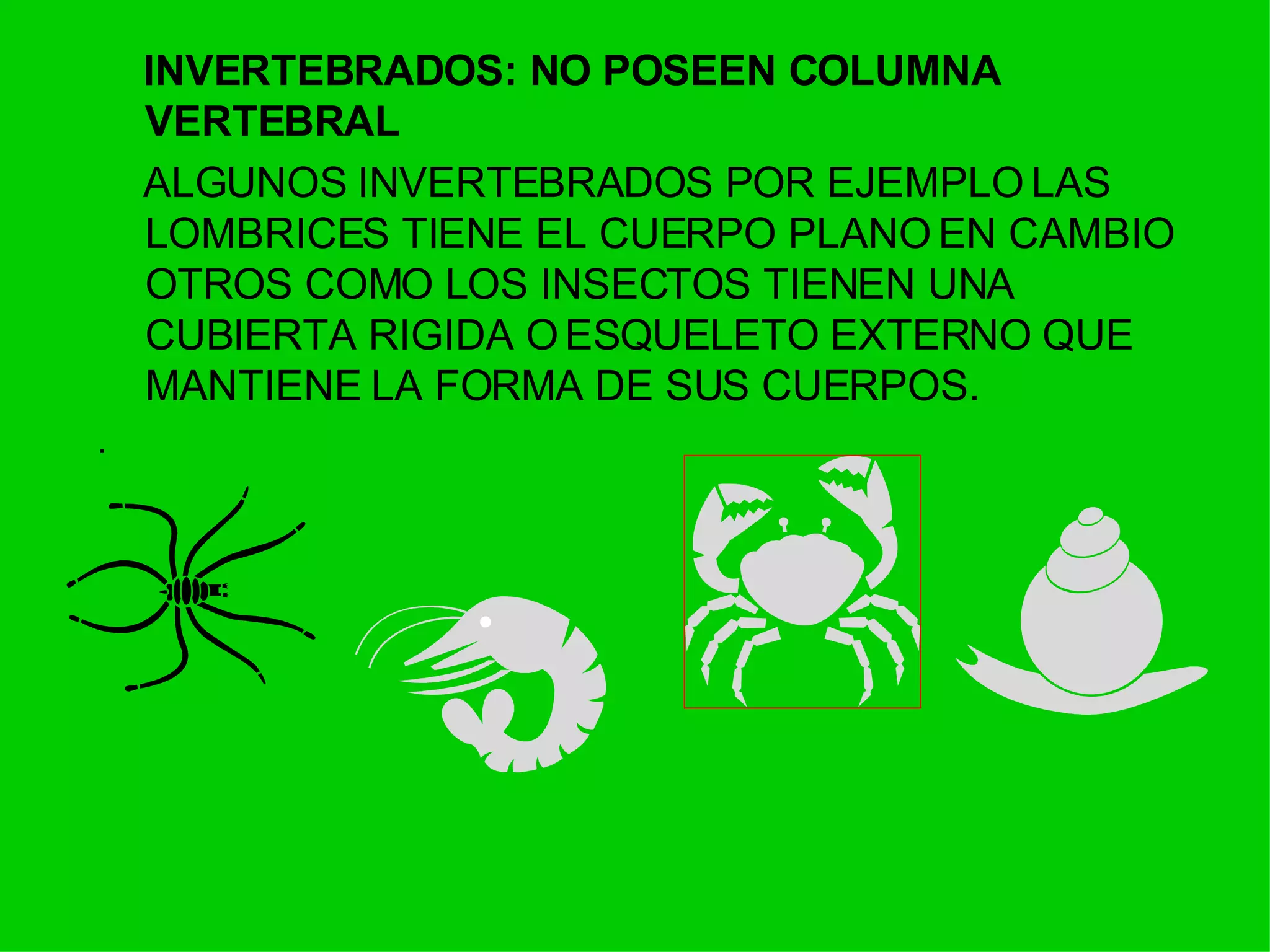 Las plantas y los animales | PPT