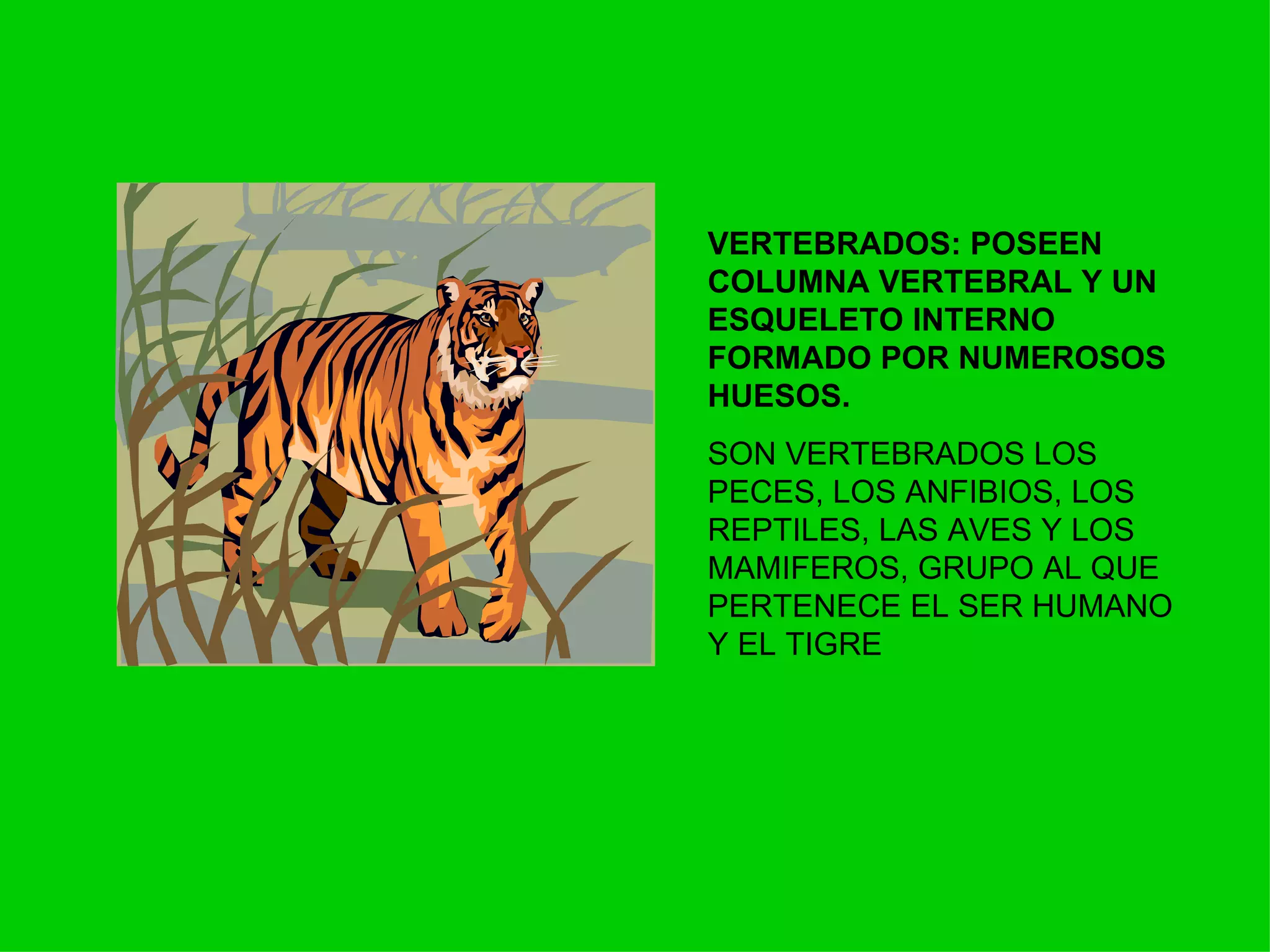 Las plantas y los animales | PPT