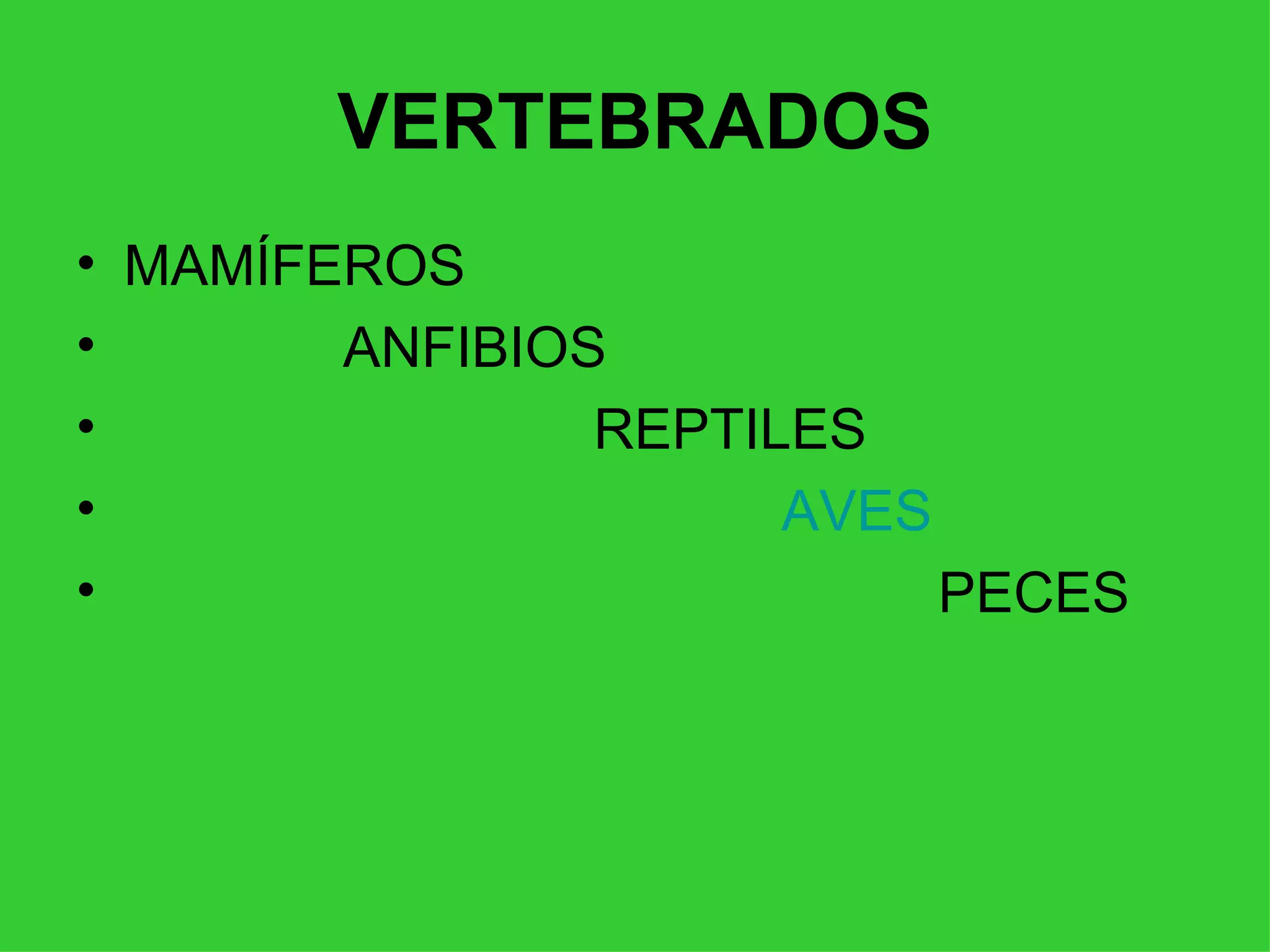 Las plantas y los animales | PPT