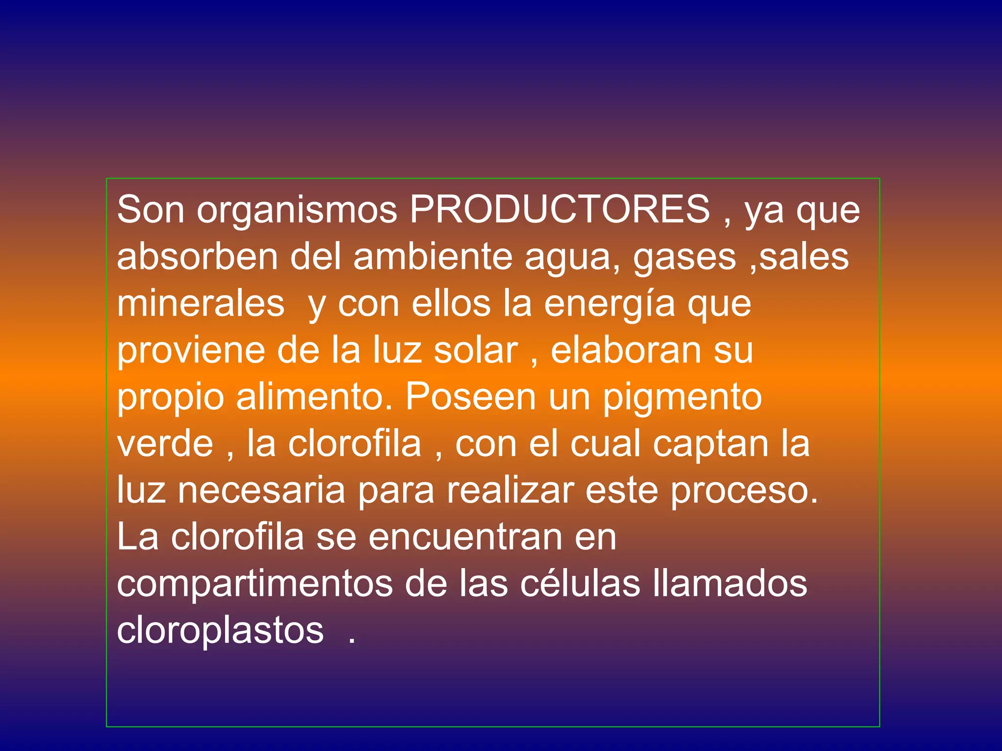 Las plantas y los animales | PPT