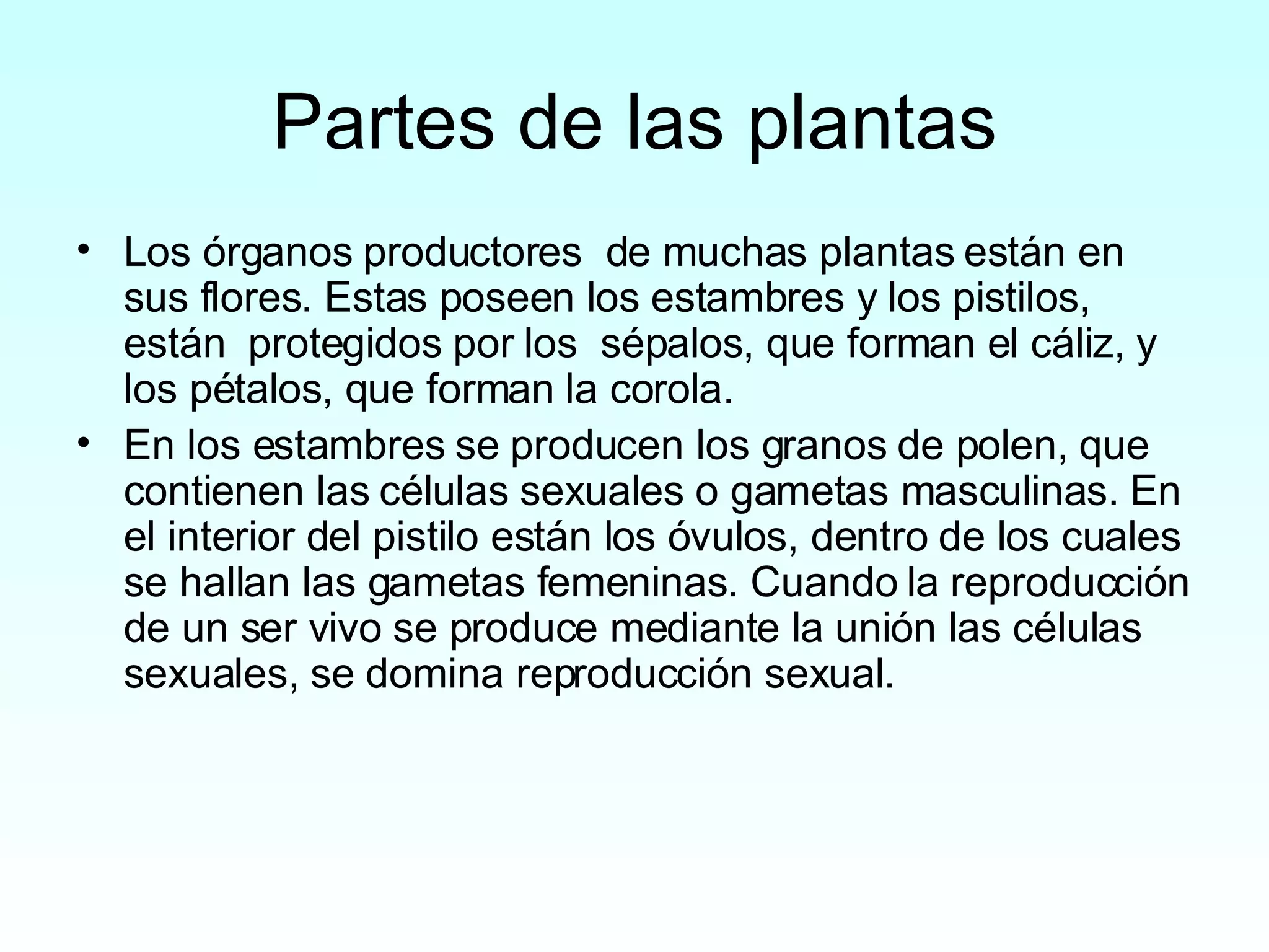 Las plantas y los animales | PPT
