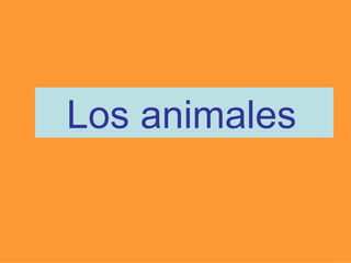Las plantas y los animales | PPT