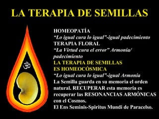LAS SEMILLAS: ESENCIAS ESENCIALES | PPS