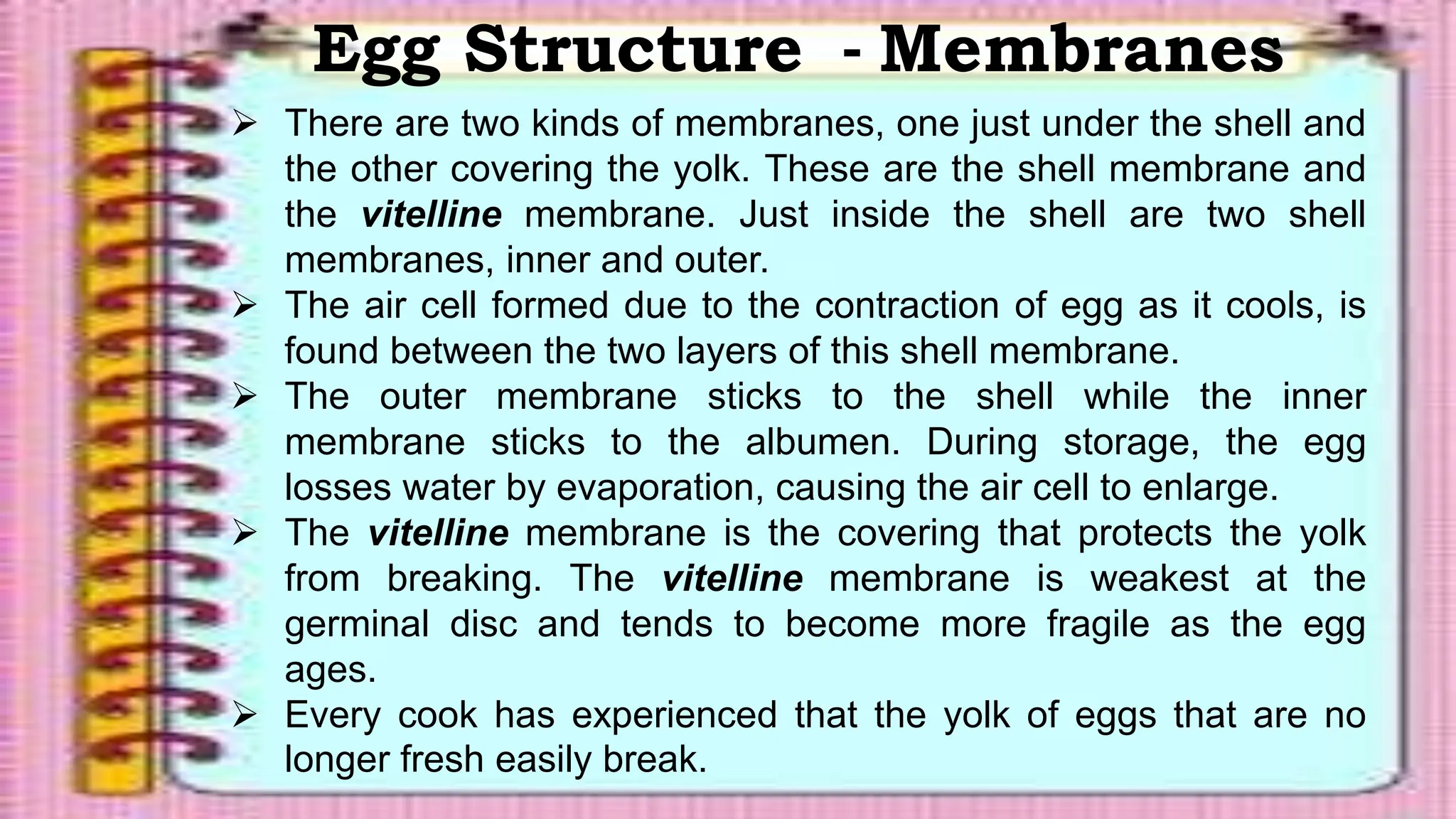 LAS 1.pptx Cookery 10 Quarter 1 Lesson 10 | PPTX
