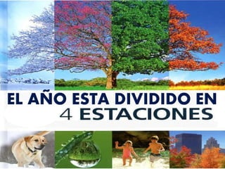 Las 4 estaciones del año | PPTX