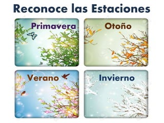 Las 4 estaciones del año | PPTX