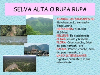 Las 8 regiones del perú (según javier pulgar vidal) | PPTX
