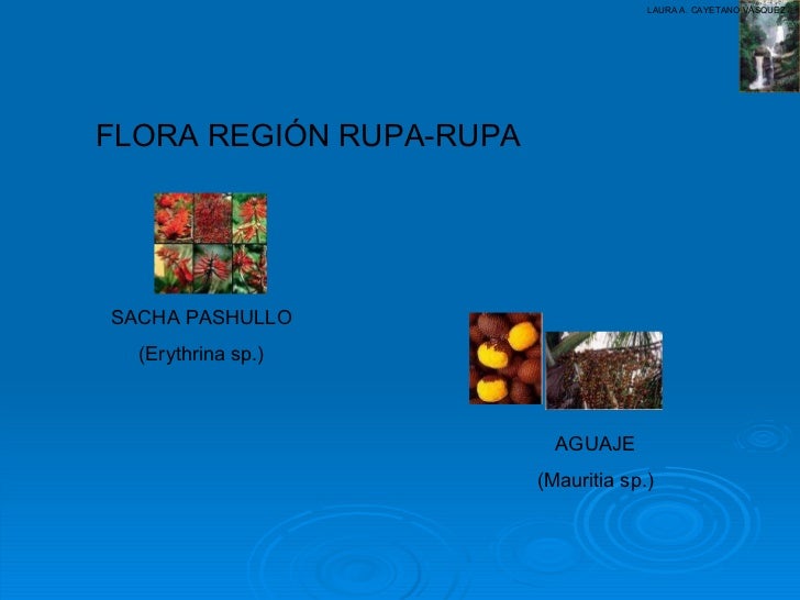Las8 Regionesnaturales