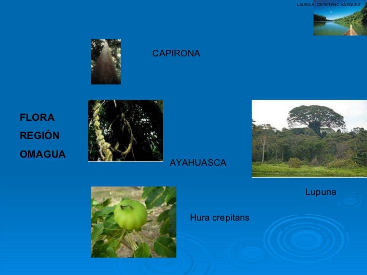 Las8 Regionesnaturales