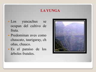 Las 8 regiones naturales del peru | PPTX