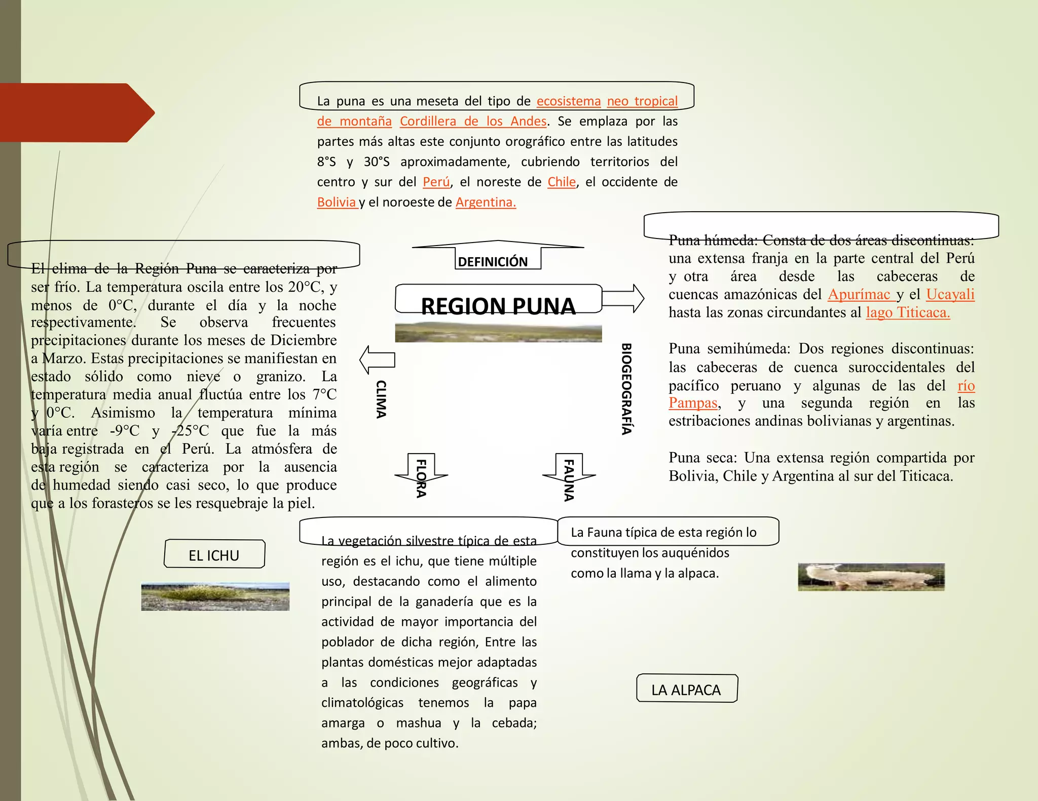 Las 8 regiones naturales del peru | PPTX