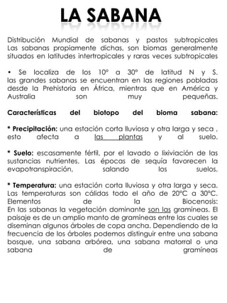 LA SABANA | PPTX
