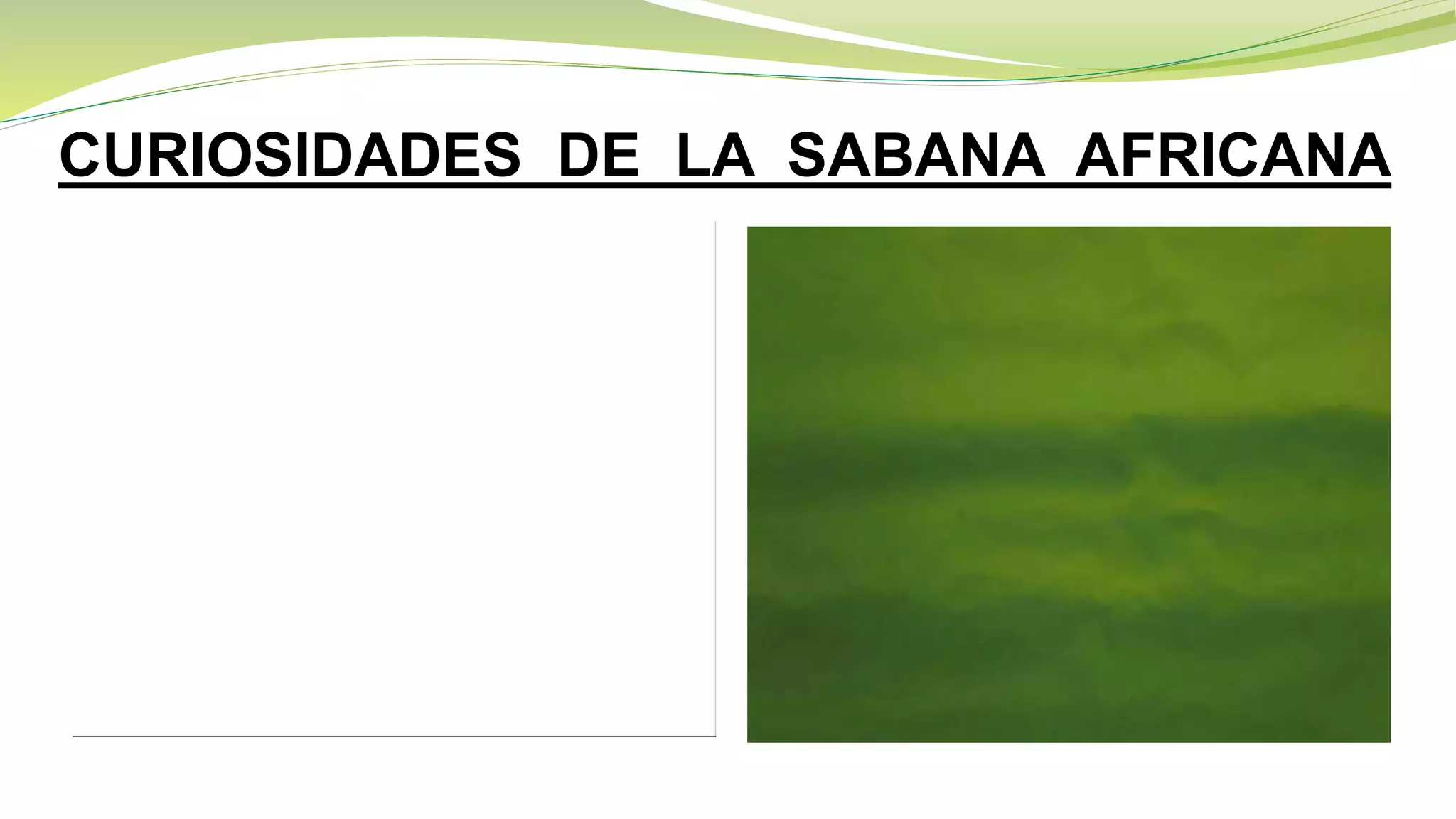 LA SABANA AFRICANA | PPT