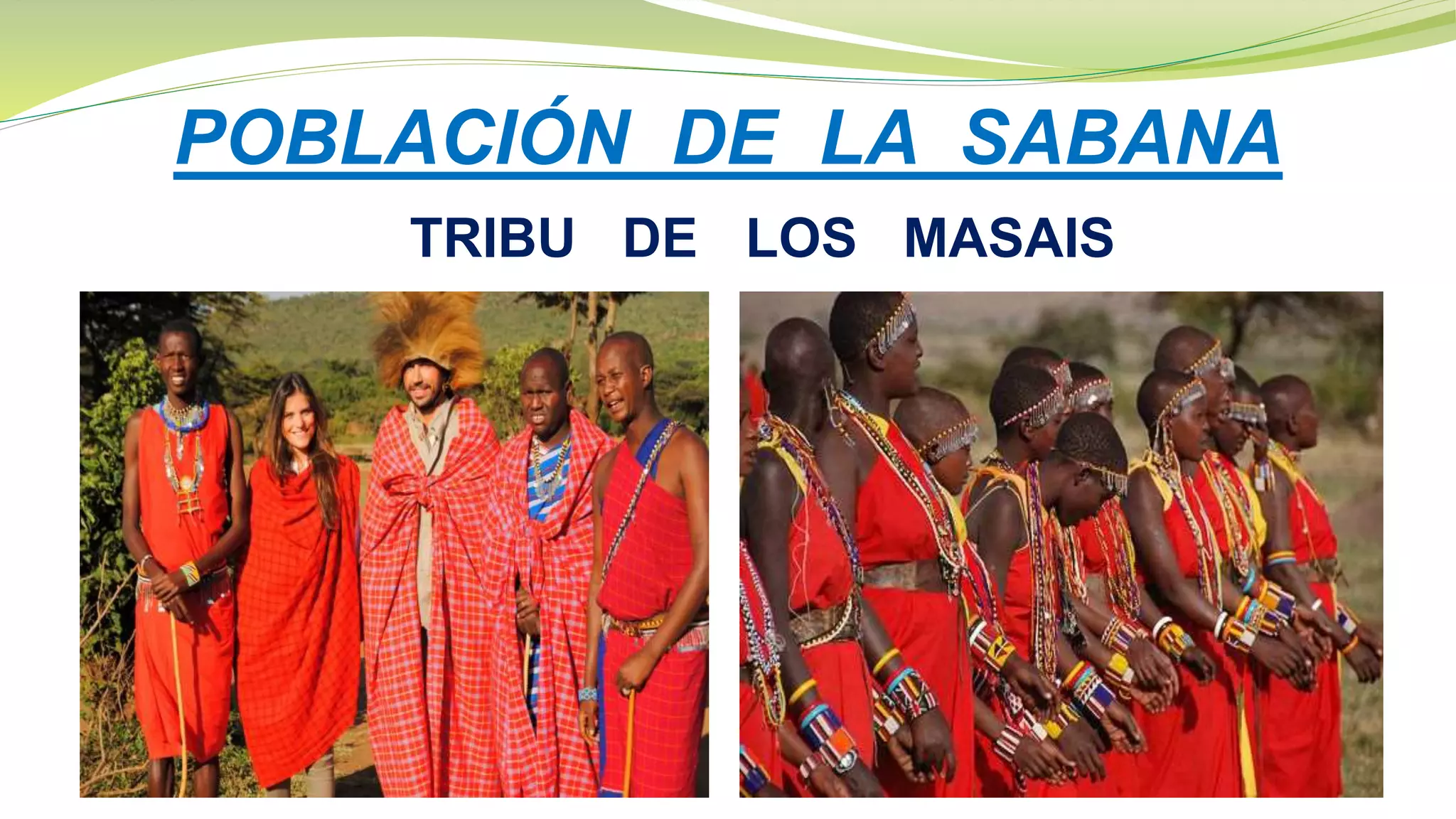 LA SABANA AFRICANA | PPT