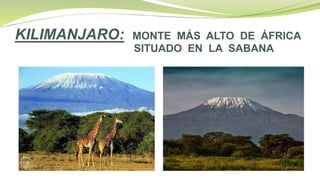 LA SABANA AFRICANA | PPTX