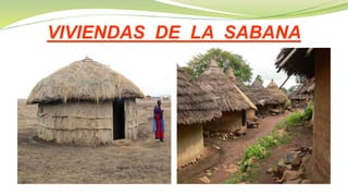 LA SABANA AFRICANA | PPTX