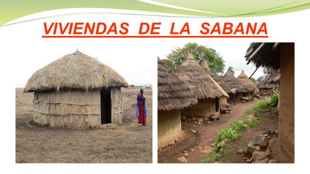 LA SABANA AFRICANA | PPT