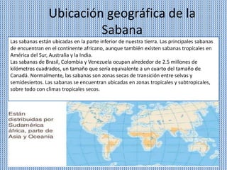 La sabana | PPTX