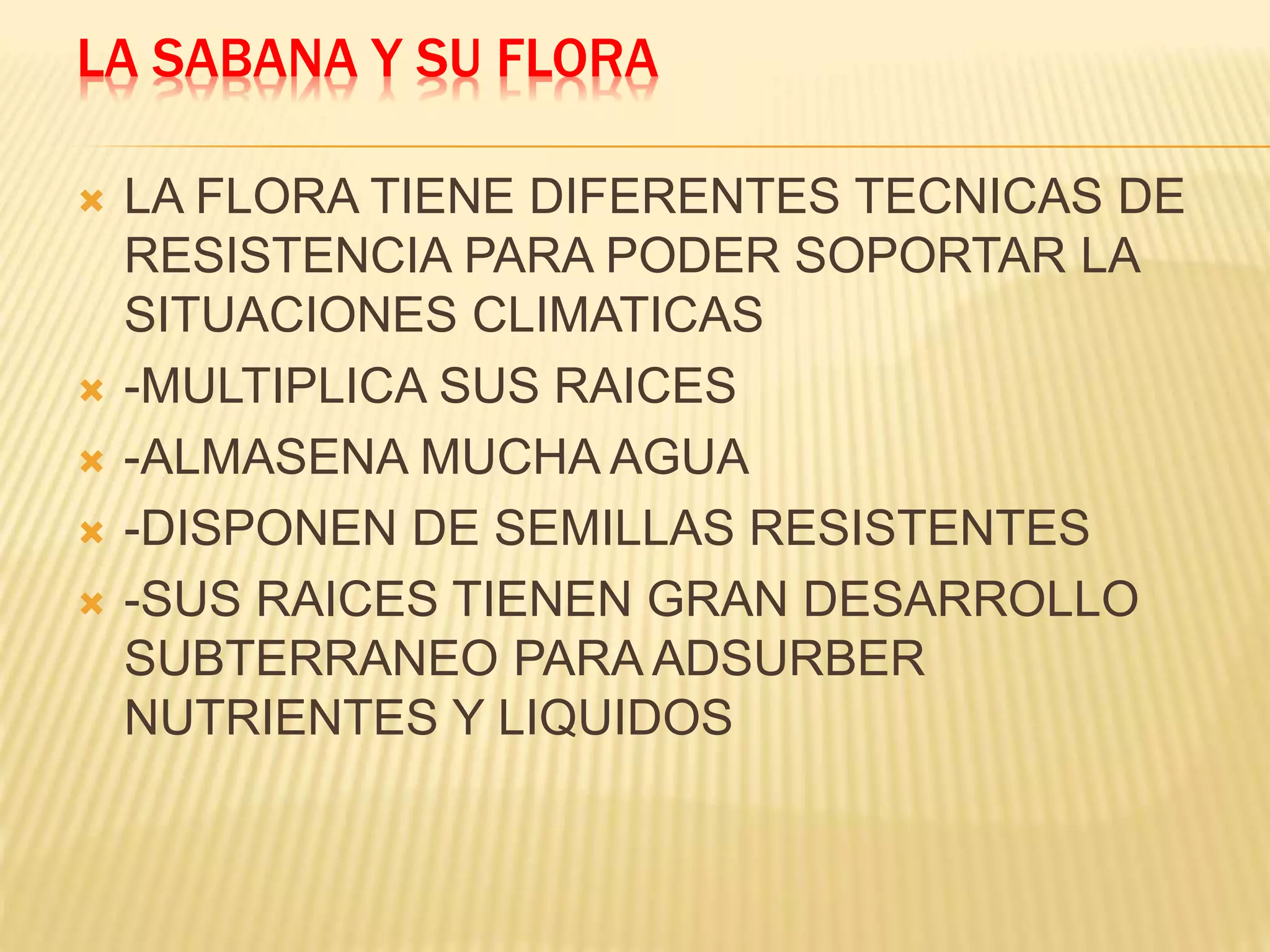 La sabana y sus caracteristicas | PPTX