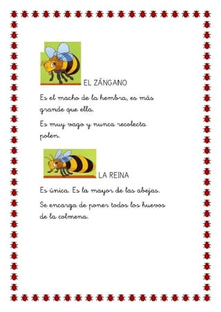 LAS ABEJAS | PDF