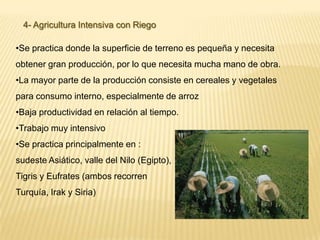 Las actividades agropecuarias | PPSX