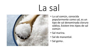 La sal | PPTX