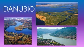 Budapest e il Danubio | PPTX
