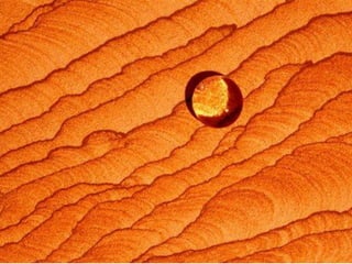 Communication-Oriented Interface Design Principles: Part II (User Interaction Design at Raffles ...