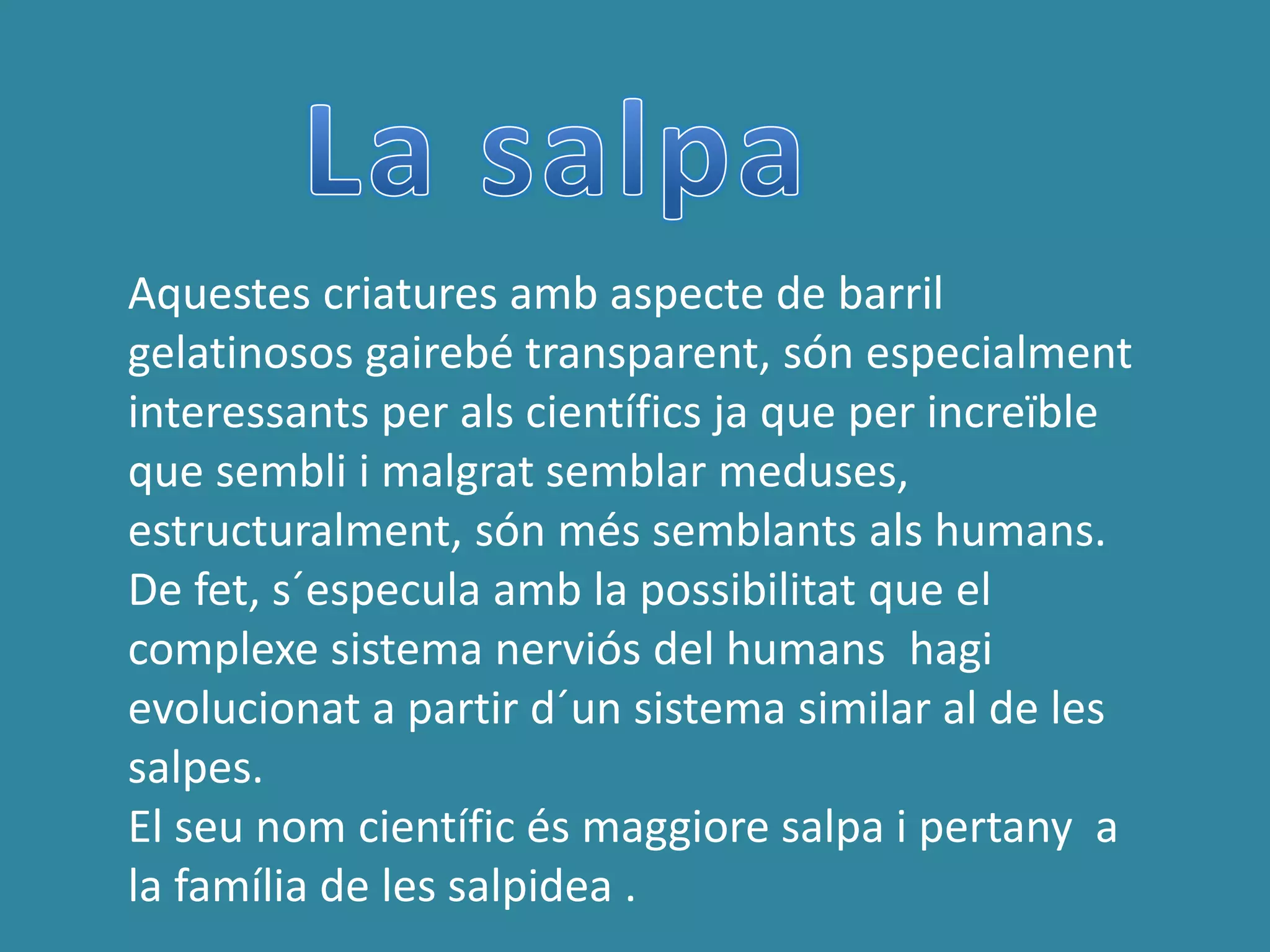 La salpa | PPTX