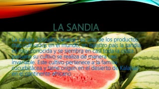 LA SANDIA.pptx