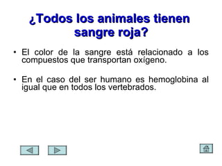 La sangre | PPT