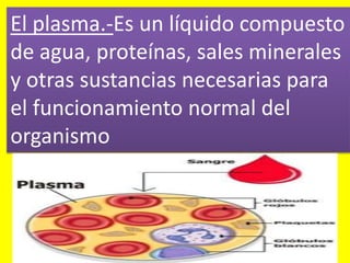La sangre | PPTX