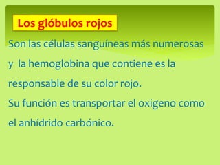 La sangre | PPTX